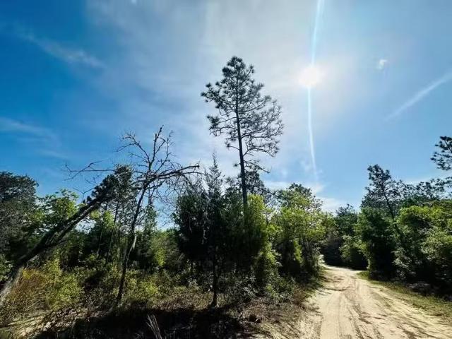 NE 52 Pl, Williston, FL 32696 MLS GC520630