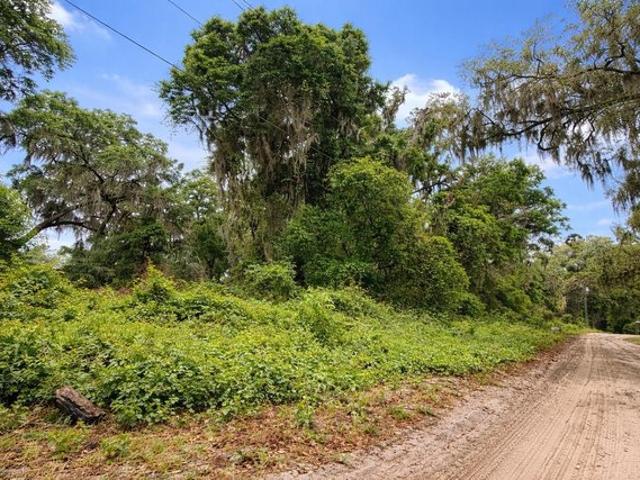 NE 52nd Ct, Anthony, FL 32617