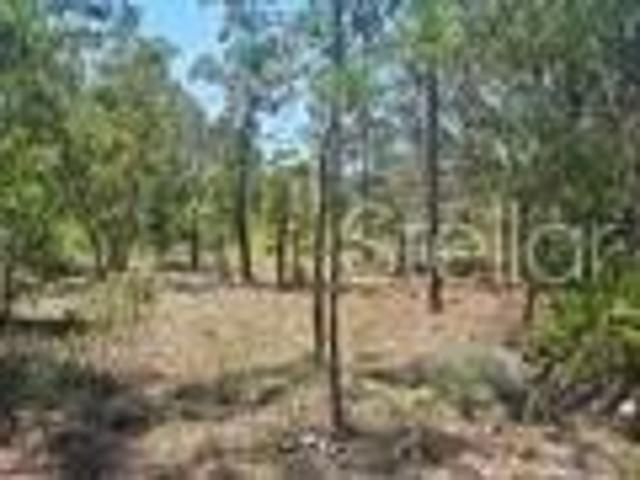 NE 67th Ln, Bronson, FL 32621