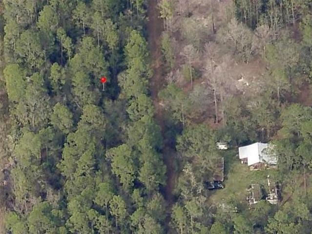 NE 65th Ave, Citra, FL 32113