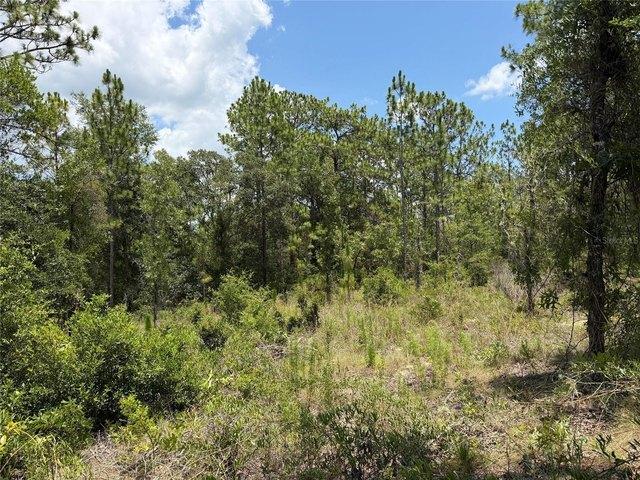 NE 65th Ter, Williston, FL 32696
