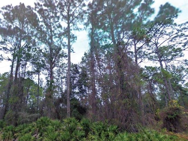 NE 66th Ave, Citra, FL 32113