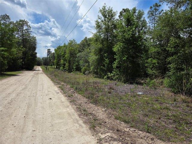 NE 73rd Ln, Bronson, FL 32621