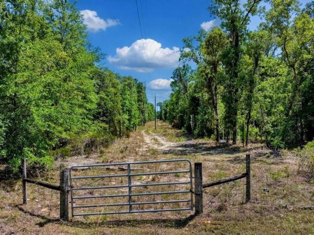 NE 75 St, Williston, FL 32696