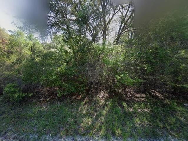 NE 799th St, Old Town, FL 32680