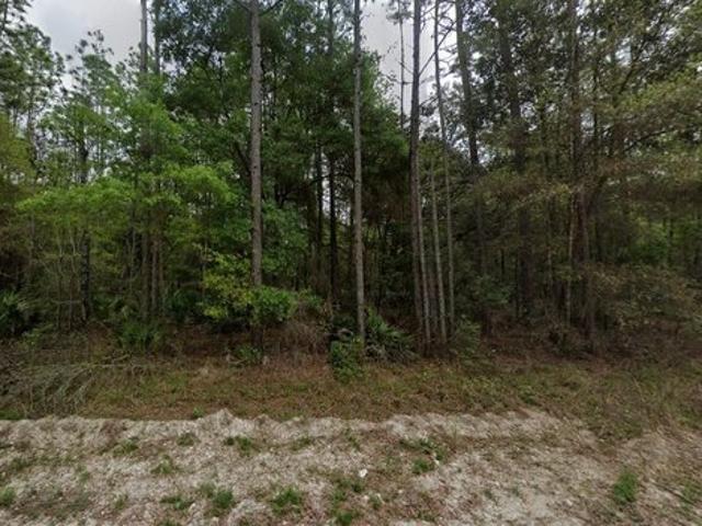 NE 821st St, Old Town, FL 32680