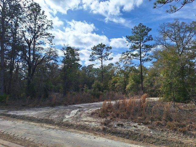 NE 90th Ave Lot 12, Bronson, FL 32621