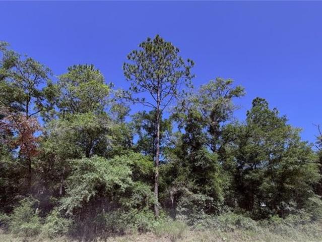 NE 90th Ave Lot 14A, Bronson, FL 32621