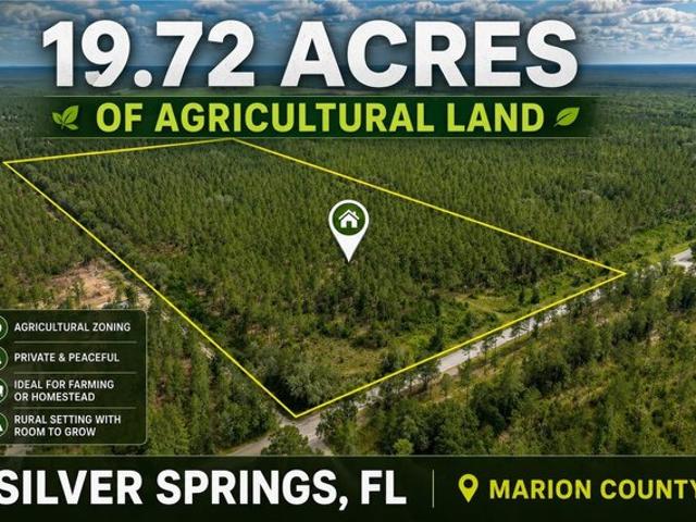 NE 90th Street Rd, Fort McCoy, FL 32134
