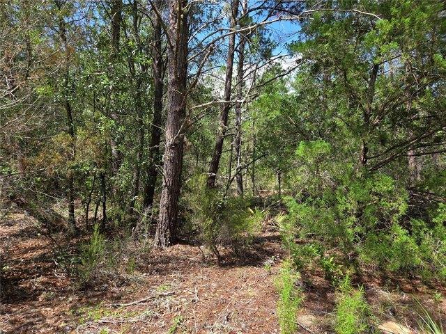 Ne 95th, Archer, FL 32618