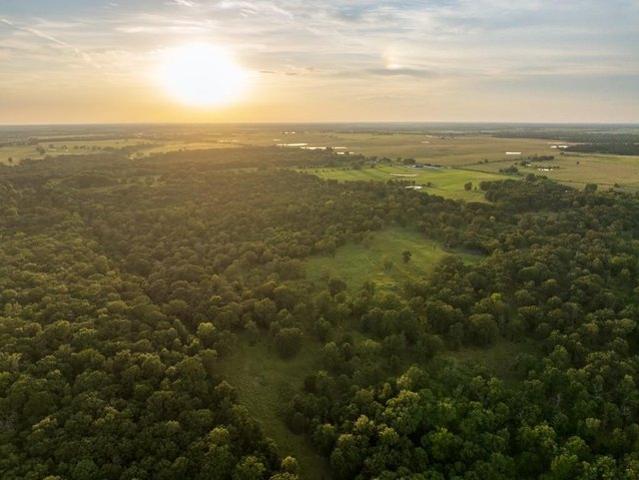 NE 100th Rd, Lamar, MO 64759