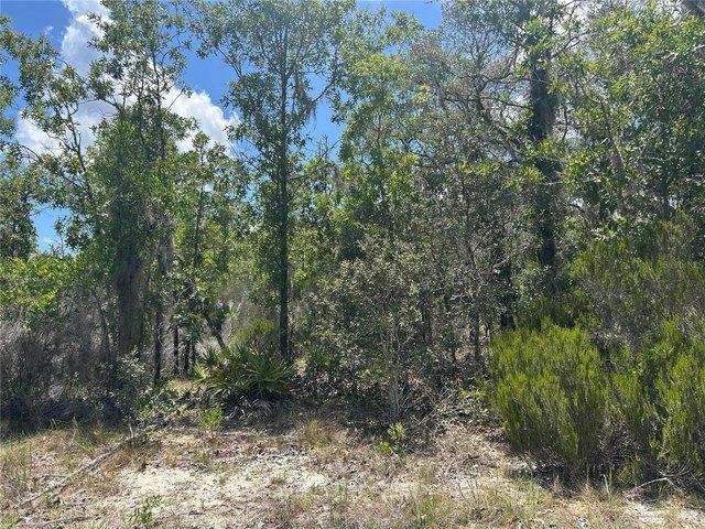 NE 101st Ter, Archer, FL 32618