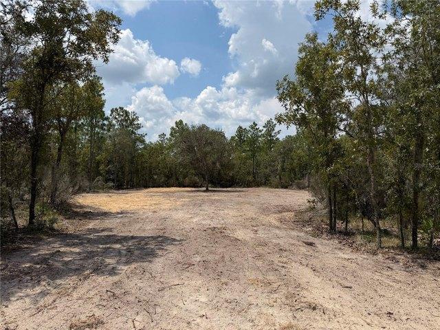 NE 101st St, Archer, FL 32618