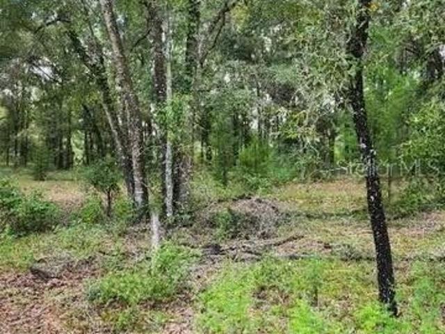 NE 102nd Ave Lot B, Archer, FL 32618