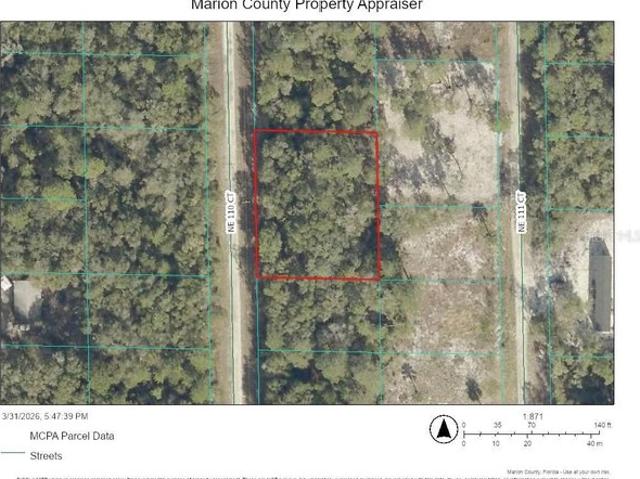 NE 110th Ct, Fort McCoy, FL 32134