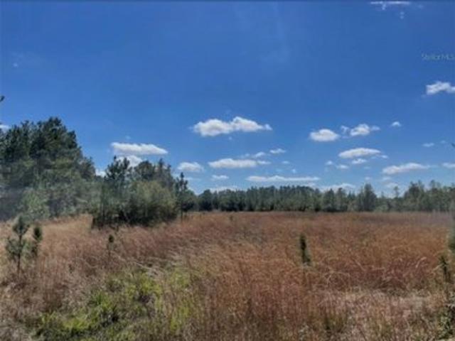 NE 124th Ter, Fort McCoy, FL 32134