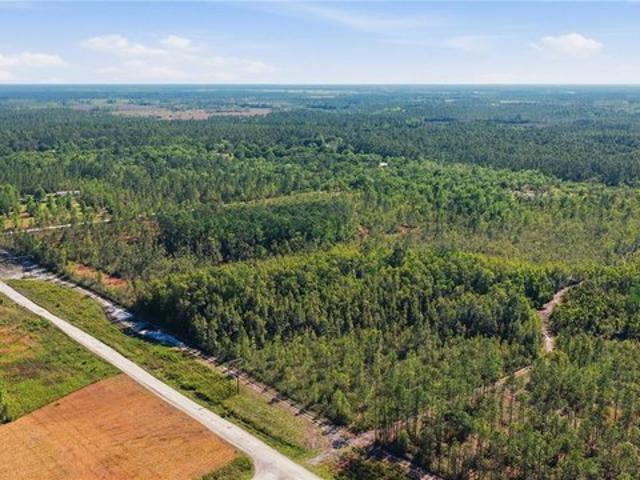 NE 125th Ave, Fort McCoy, FL 32134
