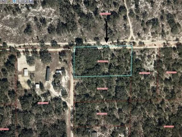 NE 127th Ct, Bronson, FL 32621