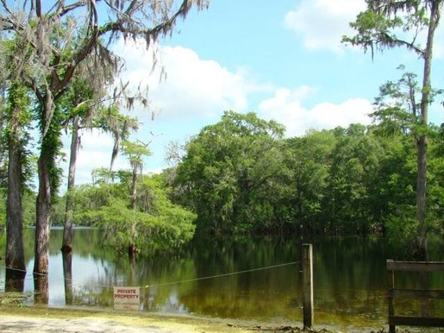 NE 127th St Lot 22, Branford, FL 32008