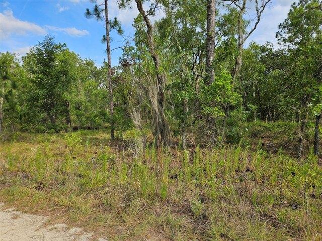 NE 12th Ln, Williston, FL 32696