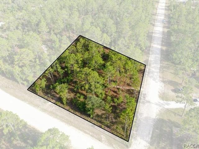 NE 131st Ter Lot 10, Williston, FL 32696