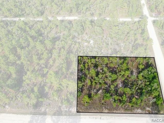 NE 131st Ter Lot 6, Williston, FL 32696