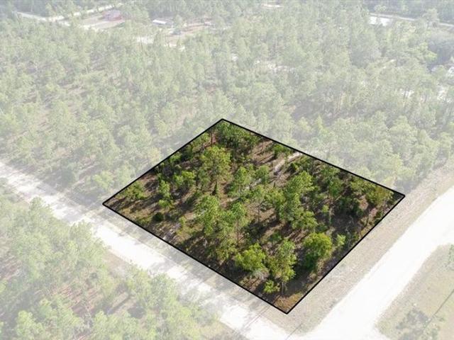 NE 132 Ter Lot 1, Williston, FL 32696