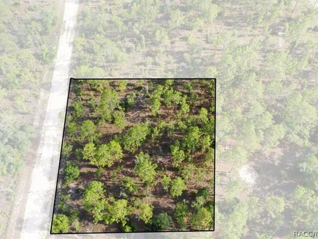 NE 132nd Ter Lot 2, Williston, FL 32696