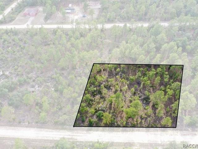 NE 132nd Ter Lot 3, Williston, FL 32696