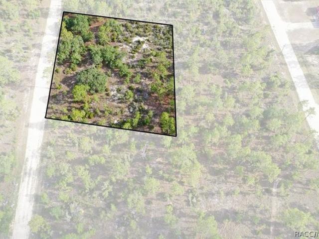 NE 132nd Ter Lot 4, Williston, FL 32696