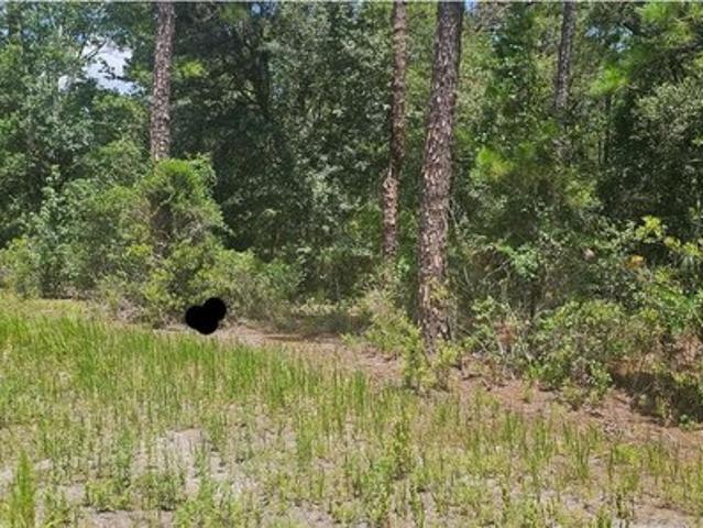 NE 132nd Pl, Citra, FL 32113