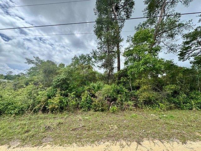NE 134th Pl, Salt Springs, FL 32134