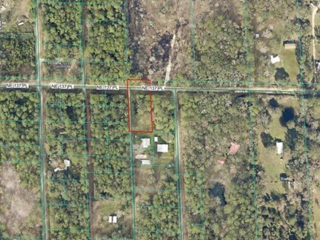 NE 137th Pl, Citra, FL 32113