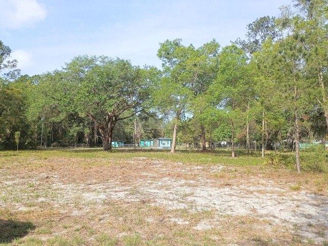 NE 141st Ct, Fort McCoy, FL 32134