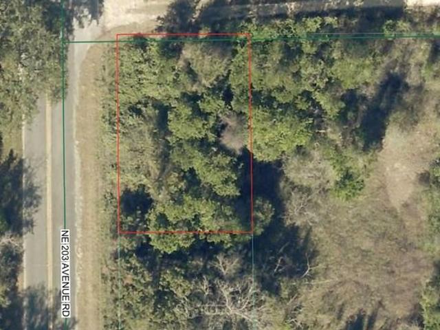 NE 143 Ln, Fort McCoy, FL 32134