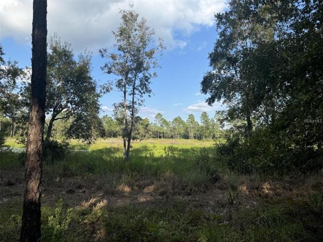 NE 150th Avenue Rd, Lot 1, Fort McCoy, FL 32134 | MLS #OM699895