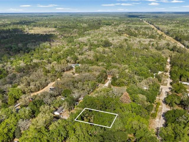 NE 153 St, Fort McCoy, FL 32134