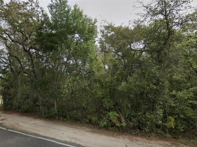 NE 154th Pl, Fort McCoy, FL 32134