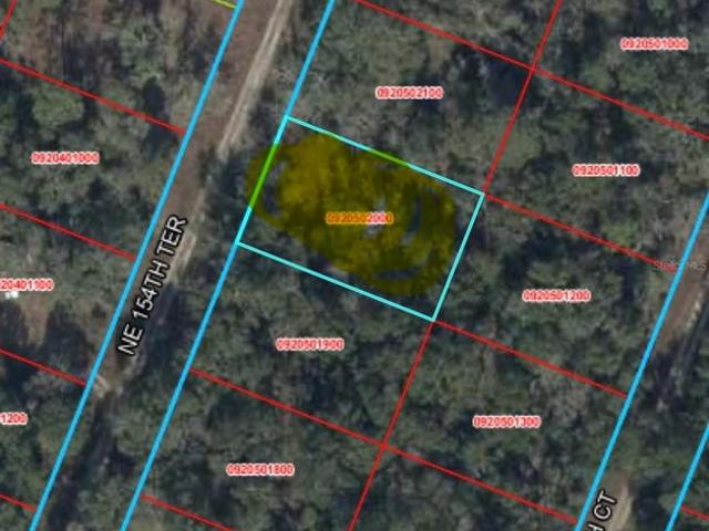 NE 154 Ter, Williston, FL 32696