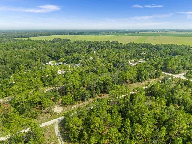 NE 156th Ct, Williston, FL 32696