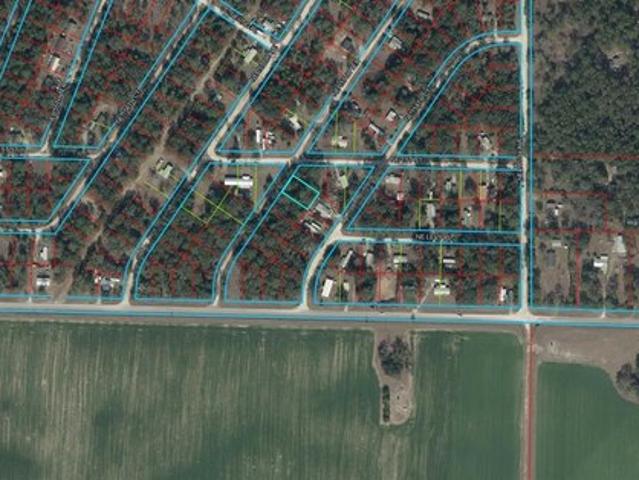NE 157th Ter, Williston, FL 32696
