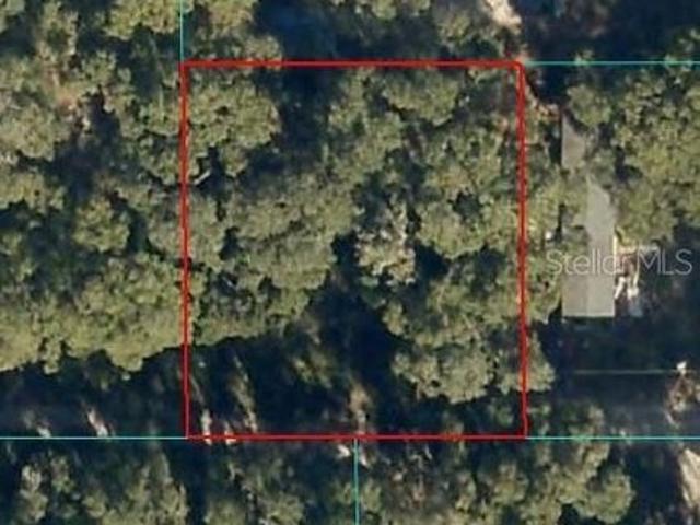 NE 160th Ln, Citra, FL 32113