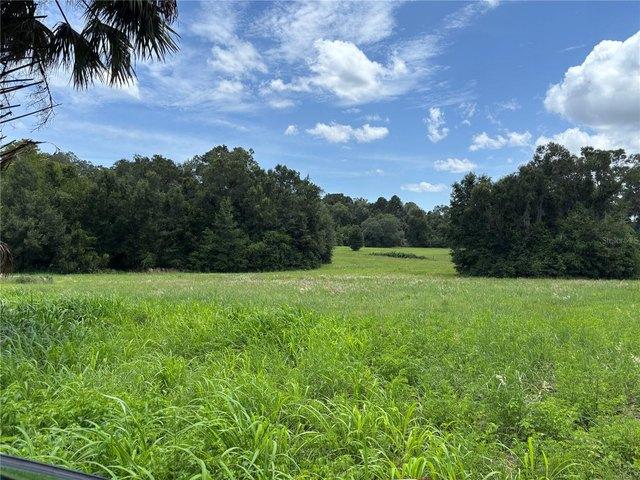 Ne 23, Citra, FL 32113