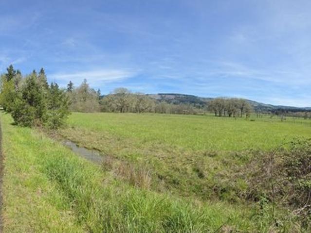 NE 202nd Ave Unit 1, Battle Ground, WA 98604