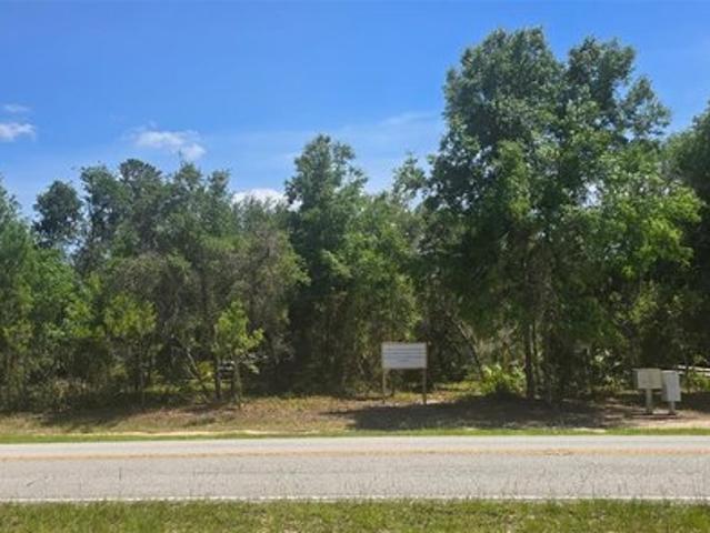 NE 236th Ct, Fort McCoy, FL 32134