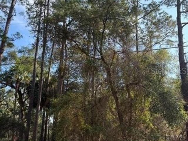 NE 236 Ter, Fort McCoy, FL 32134