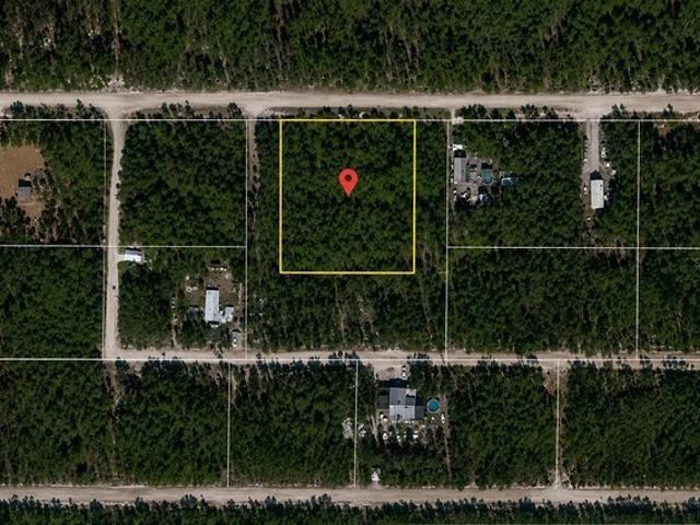 NE 239th St, Fort McCoy, FL 32134