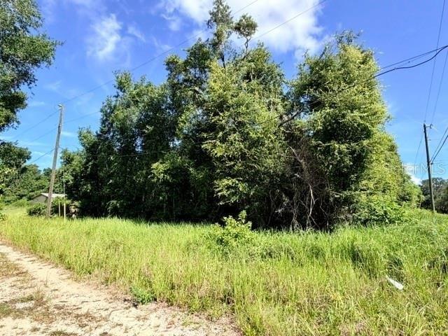 NE 249th Ct, Salt Springs, FL 32134
