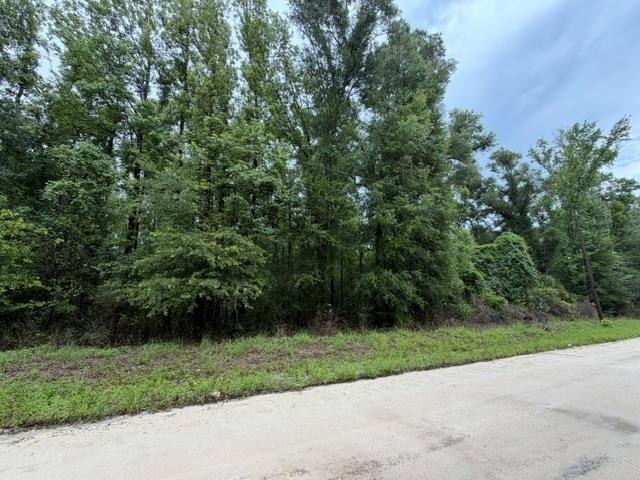 NE 312th Ave, Old Town, FL 32008