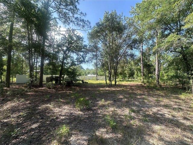 NE 3rd Pl, Williston, FL 32696